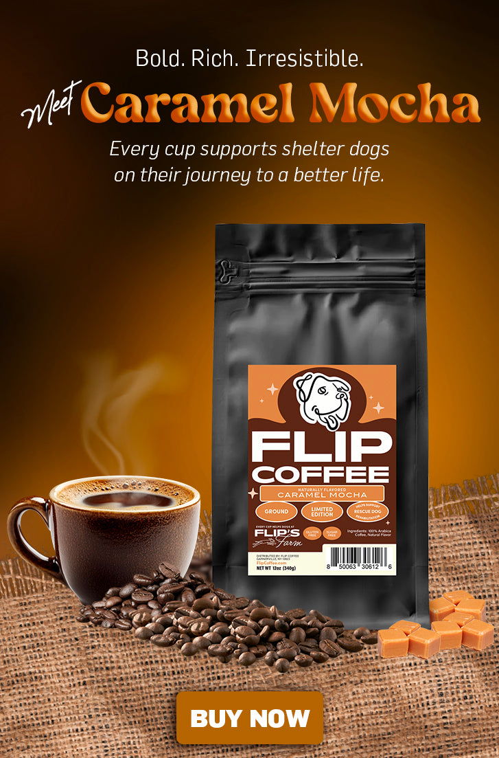 Flip Coffee by Rocky Kanaka